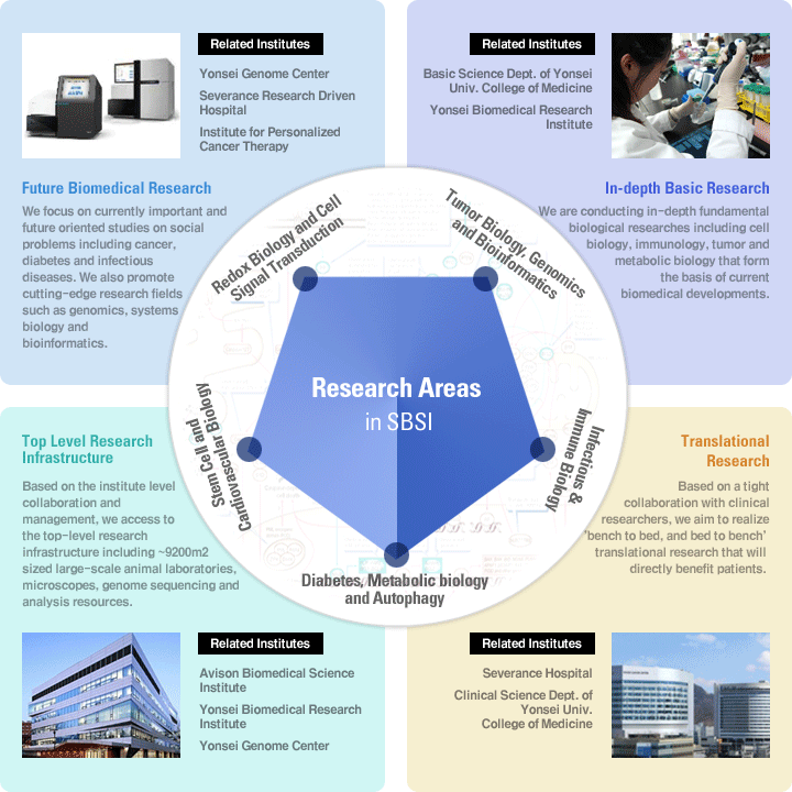 Department of Biomedical Sciences Yonsei University College of Medicine